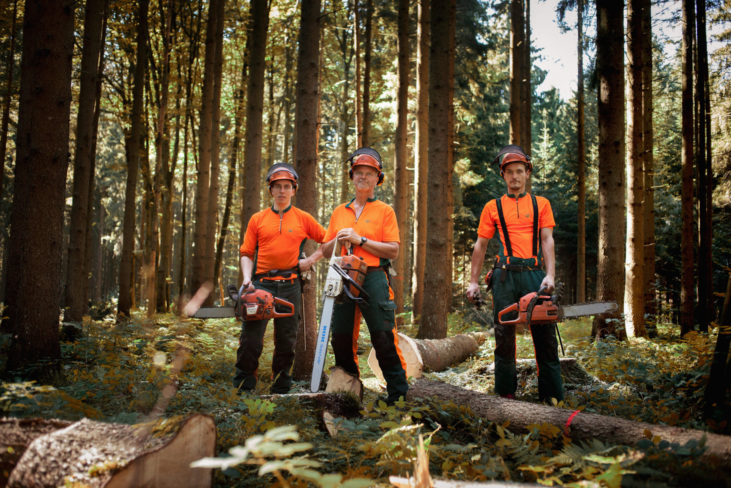 All Good in the Wood — Bavarian Staatsforsten are the Keeper of Balance ...